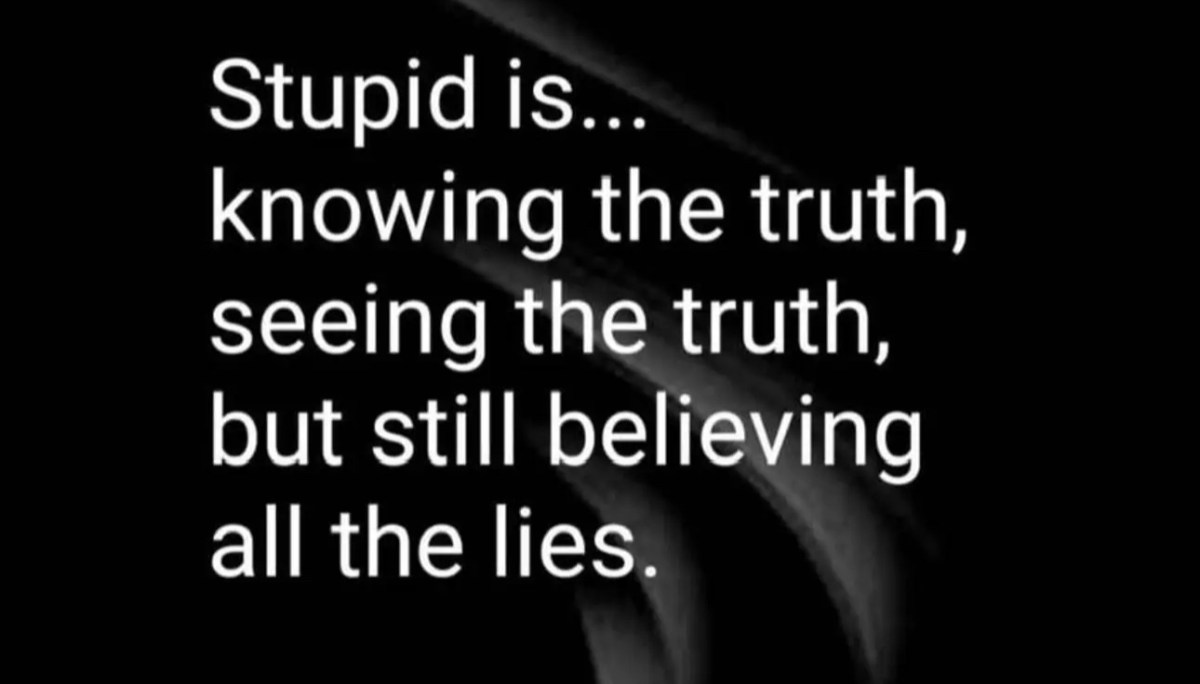 cookie-cutter – Stories From Tina